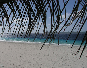 Beaches – Divi Dive Bonaire